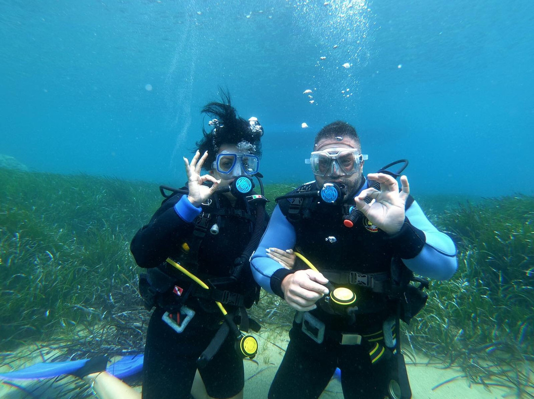 2023年11月Dolphin Diving Centre景点攻略-Dolphin Diving Centre门票预订|地址|图片 ...