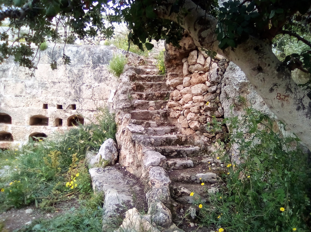 2024年11月Xemxija Heritage Trail景点攻略-Xemxija Heritage Trail门票预订|地址|图片 ...