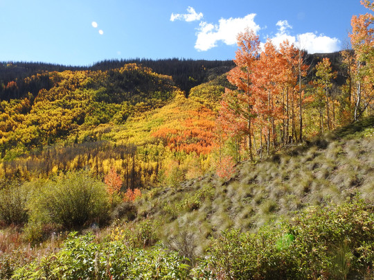 2023年11月Bachelor Loop景点攻略-Bachelor Loop门票预订|地址|图片-Bachelor Loop景点点评-猫途鹰