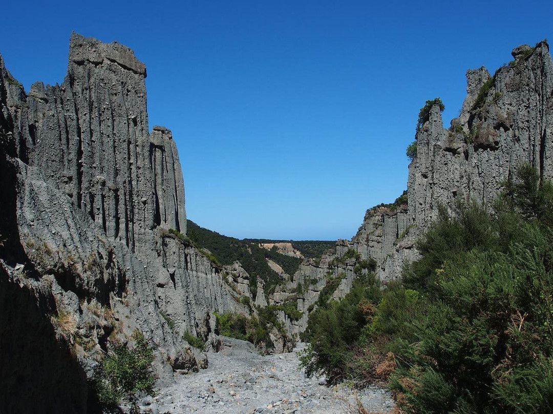 2024年11月Pinnacles Track景点攻略-Pinnacles Track门票预订|地址|图片-Pinnacles Track景点 ...