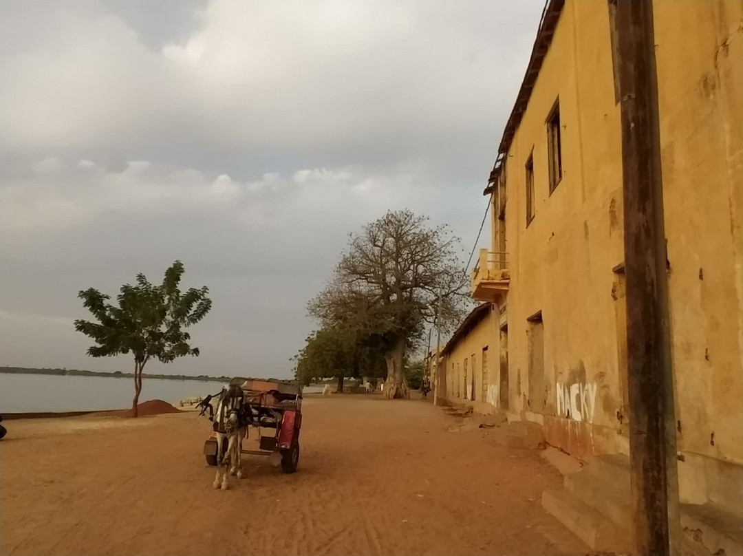 2025年3月Dagana旅游景点攻略-Dagana旅游住宿,-Dagana旅游美食-猫途鹰