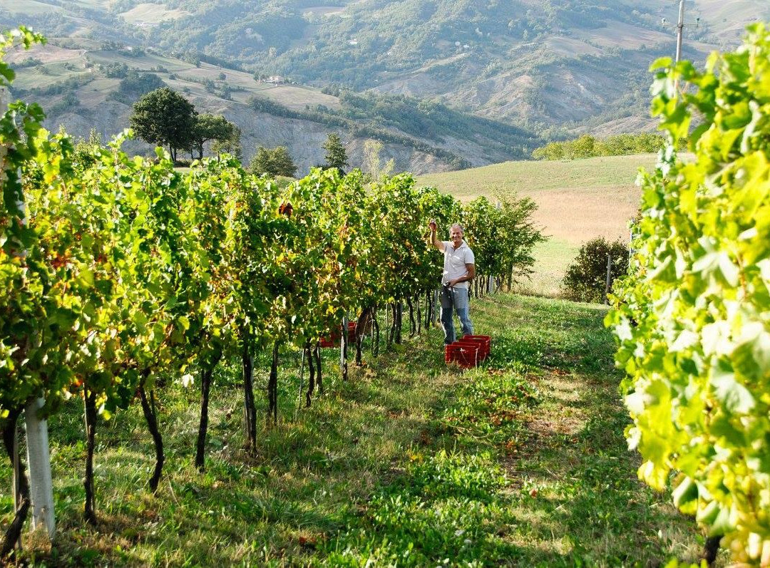 2023年10月Marano sul Panaro旅游景点攻略-Marano sul Panaro旅游住宿,-Marano sul ...