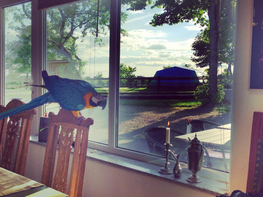 2023年Velling旅游攻略 - 8Velling酒店/景点/门票/美食/自助游/自驾/自由行/游玩攻略 - Tripadvisor猫途鹰