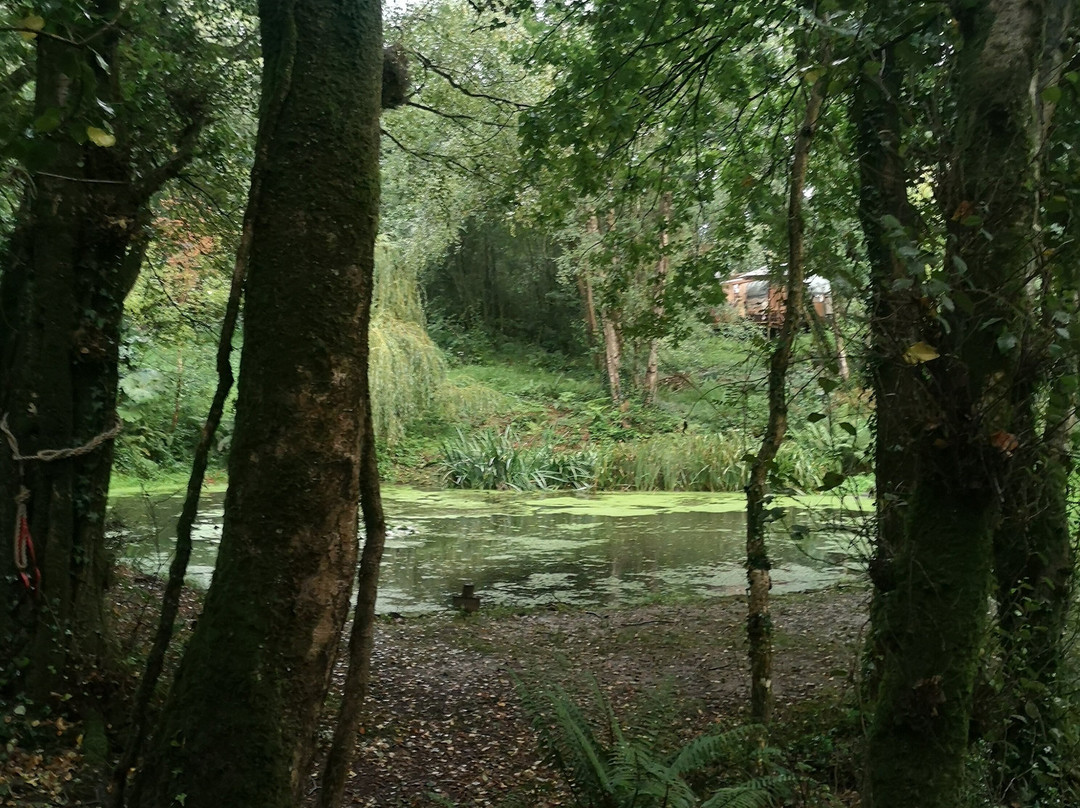 2024年6月Holditch旅游景点攻略-Holditch旅游住宿,-Holditch旅游美食-猫途鹰