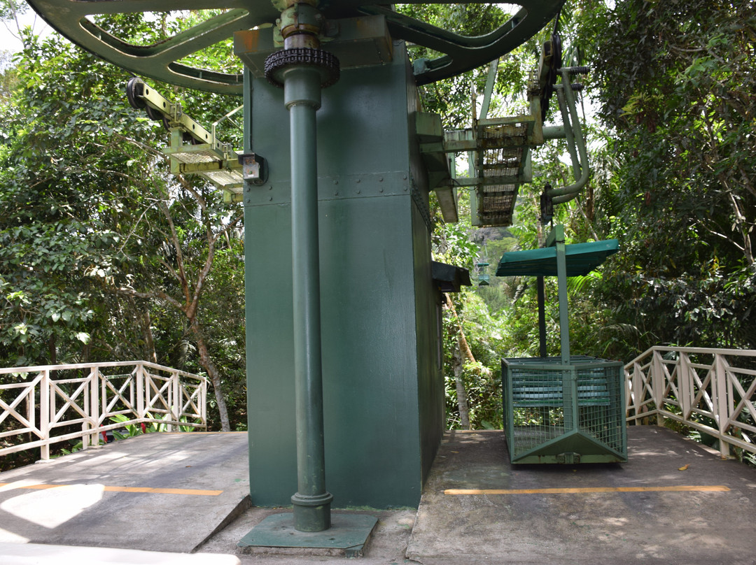 2024年9月Panama Rainforest Discovery Center景点攻略-Panama Rainforest Discovery Center门票预订|地址|图片 ...