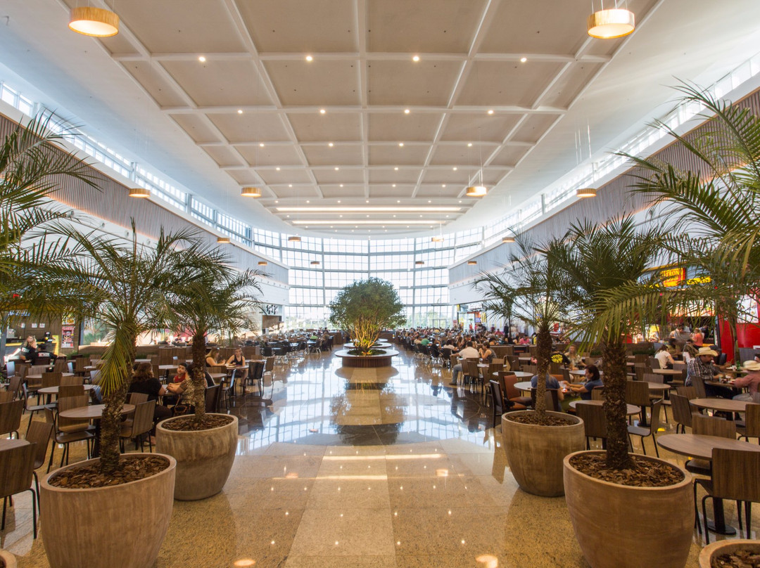 2025年10月Itatinga旅游景点攻略-Itatinga旅游住宿,-Itatinga旅游美食-猫途鹰