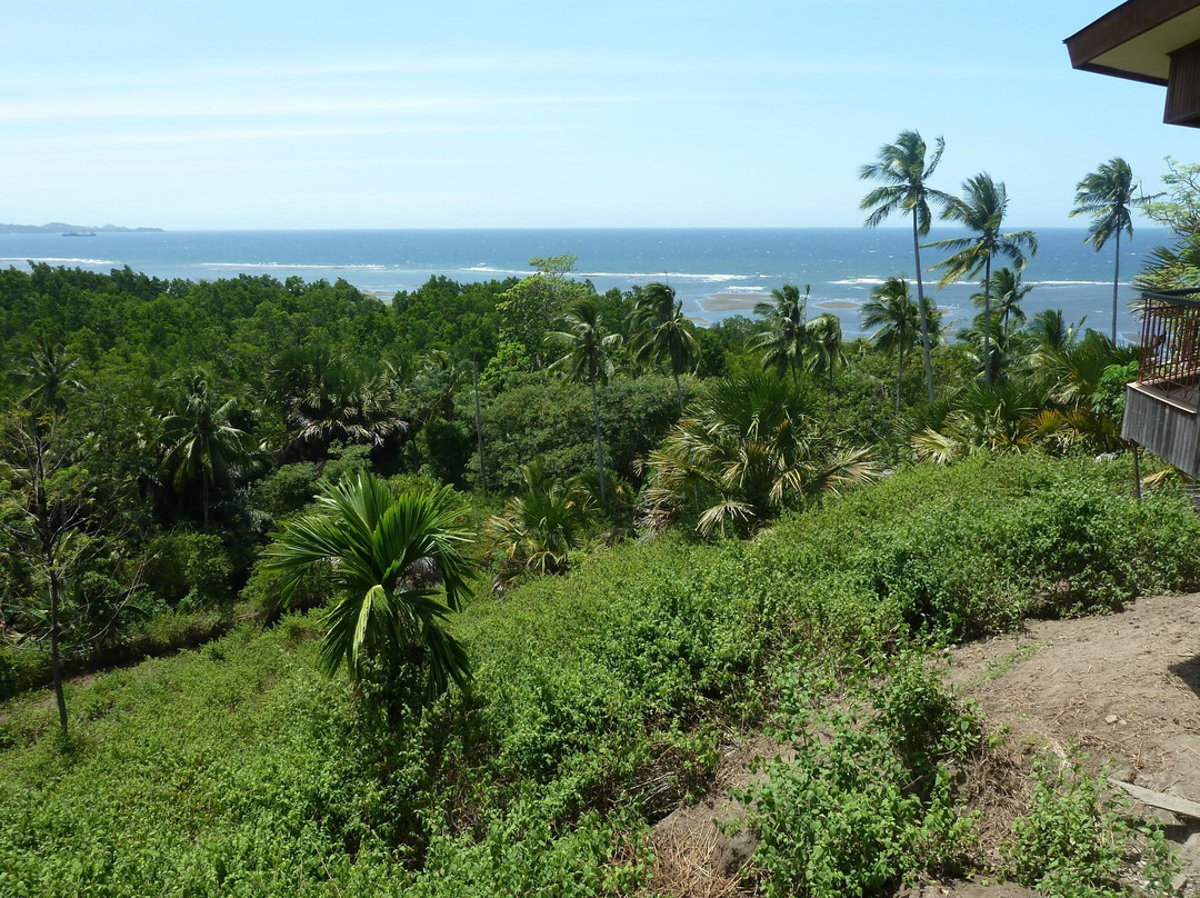 2025年3月Tasikoki旅游景点攻略-Tasikoki旅游住宿,-Tasikoki旅游美食-猫途鹰