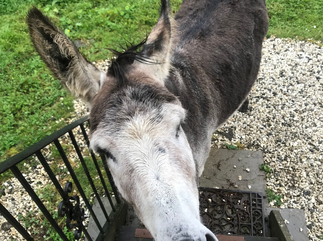 2025年9月Heast旅游景点攻略-Heast旅游住宿,-Heast旅游美食-猫途鹰