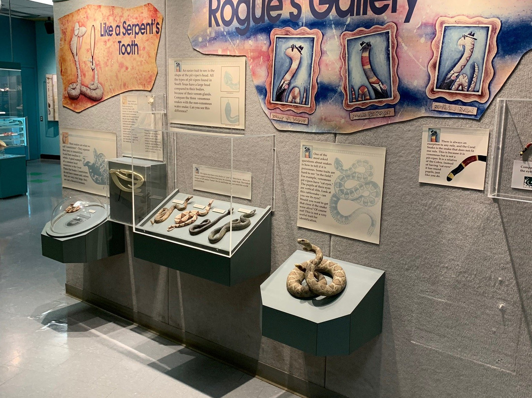 2023年12月Corpus Christi Museum of Science and History景点攻略-Corpus Christi ...