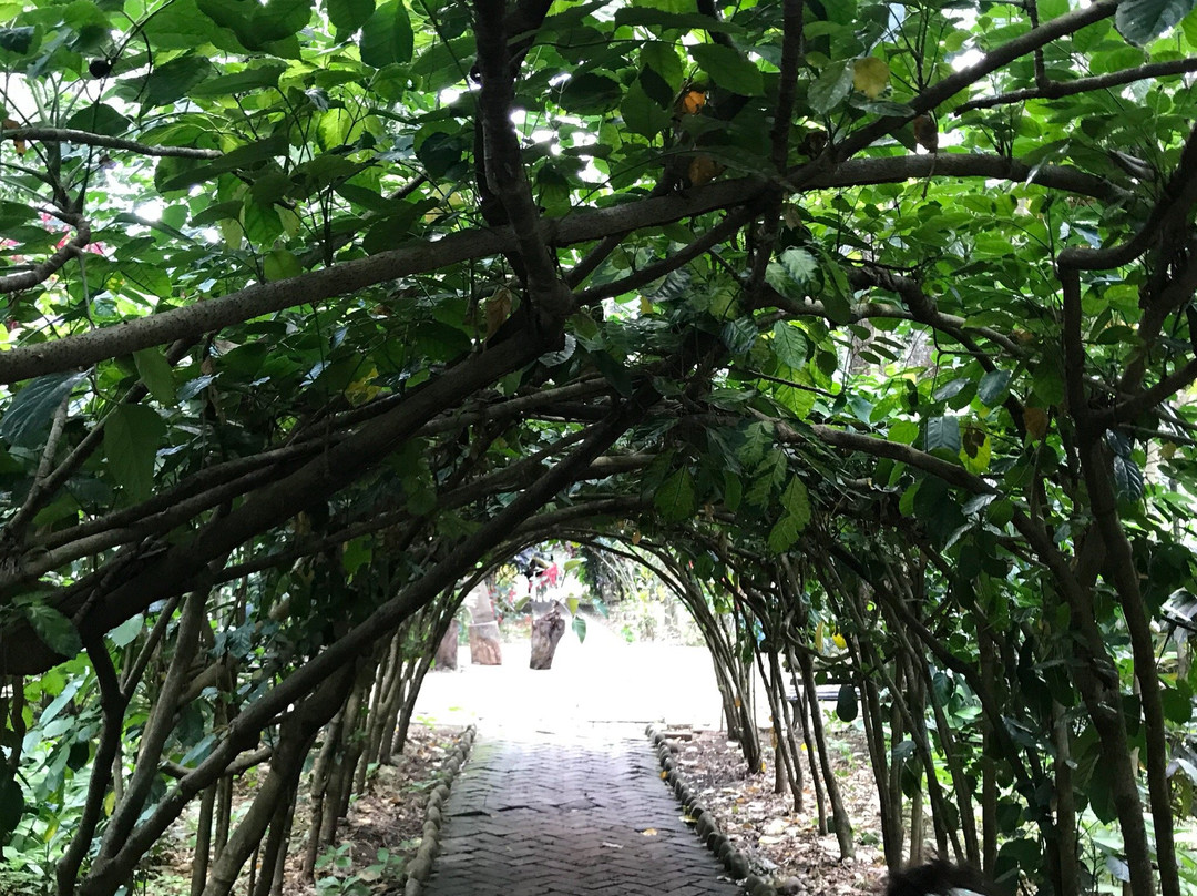 2024年1月Parque Gallineral景点攻略-Parque Gallineral门票预订|地址|图片-Parque ...