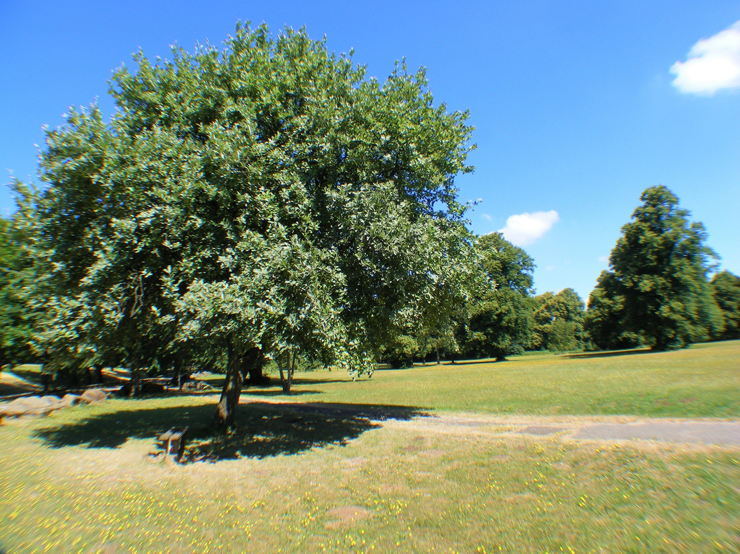 2025年10月Bulwell Hall Park景点攻略-Bulwell Hall Park门票预订|地址|图片-Bulwell Hall ...