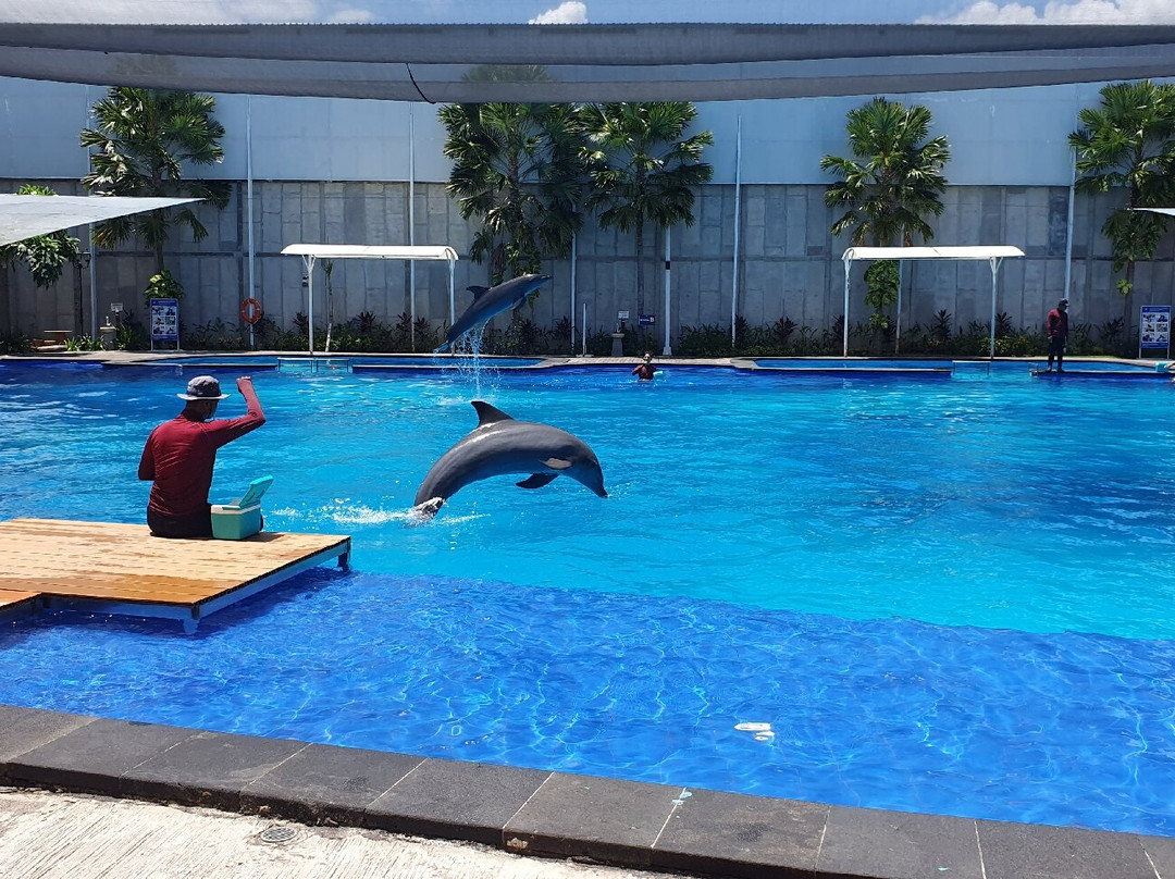 2024年7月Bali Exotic Marine Park景点攻略-Bali Exotic Marine Park门票预订|地址|图片 ...