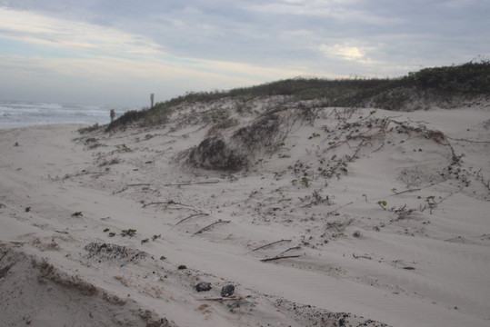 2023年11月Mustang Island State Park景点攻略-Mustang Island State Park门票预订|地址 ...