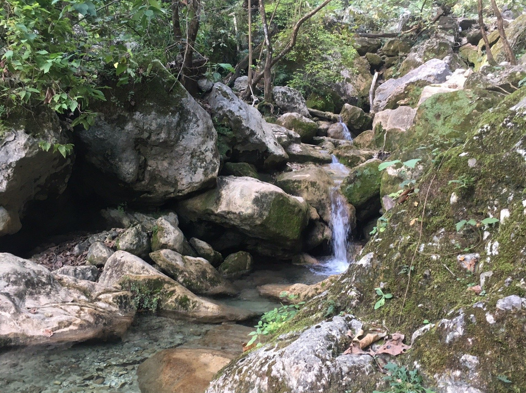2024年7月Parque Natural La Estanzuela景点攻略-Parque Natural La Estanzuela门票 ...