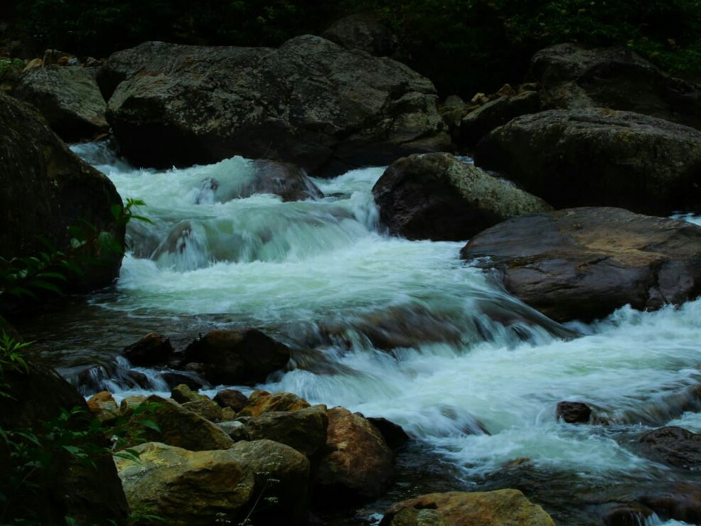 2025年10月Rimbick旅游景点攻略-Rimbick旅游住宿,-Rimbick旅游美食-猫途鹰