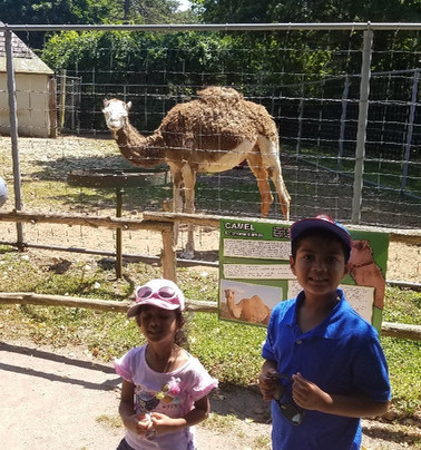 2023年12月Long Island Game Farm - Wildlife Park & Children's Zoo景点攻略-Long ...