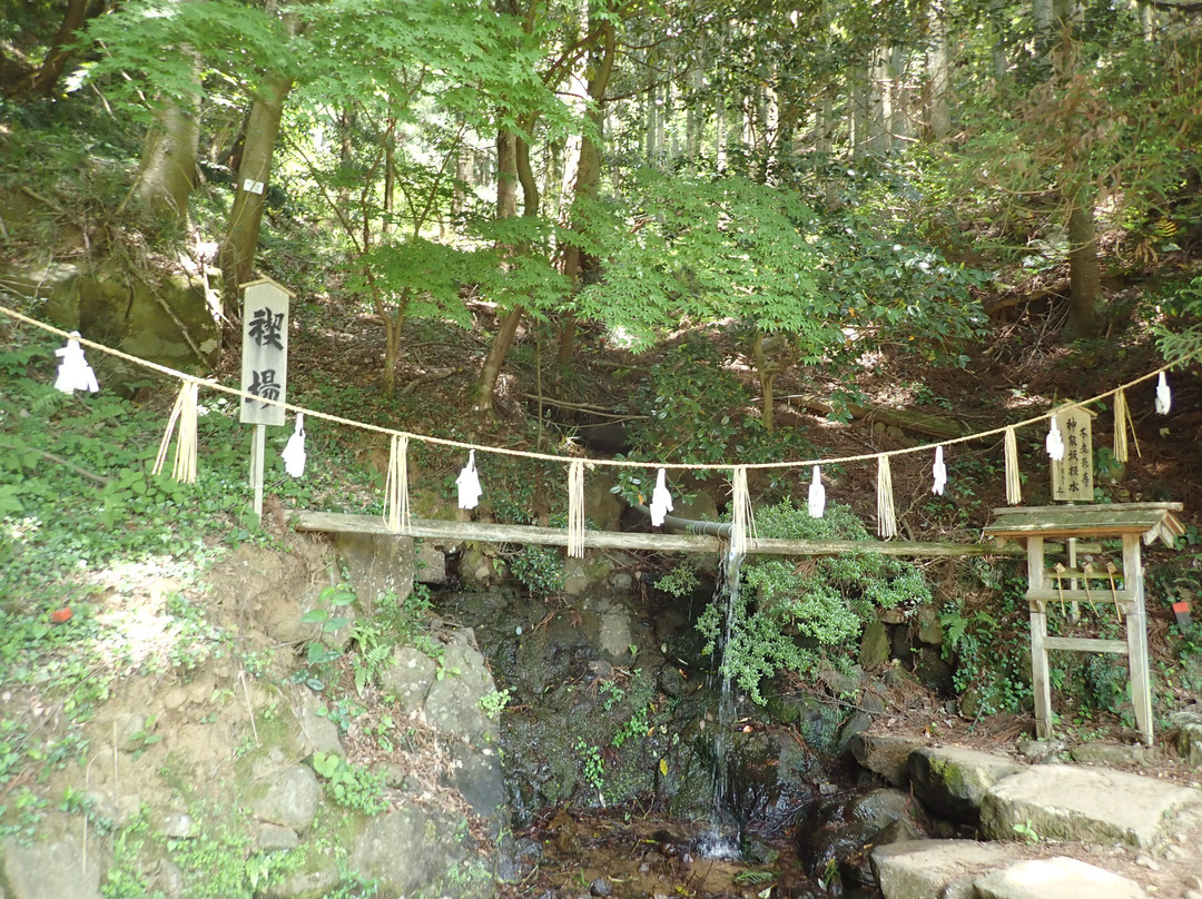 2024年9月Suga Shrine景点攻略-Suga Shrine门票预订|地址|图片-Suga Shrine景点点评-猫途鹰
