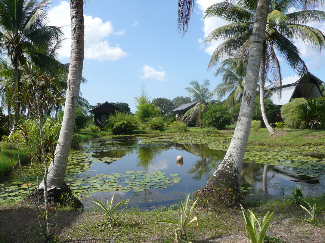 2025年1月Commewijne River景点攻略-Commewijne River门票预订|地址|图片-Commewijne River ...