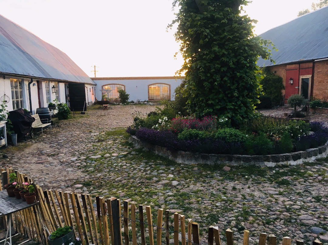 2023年10月Borrby旅游景点攻略-Borrby旅游住宿,-Borrby旅游美食-猫途鹰