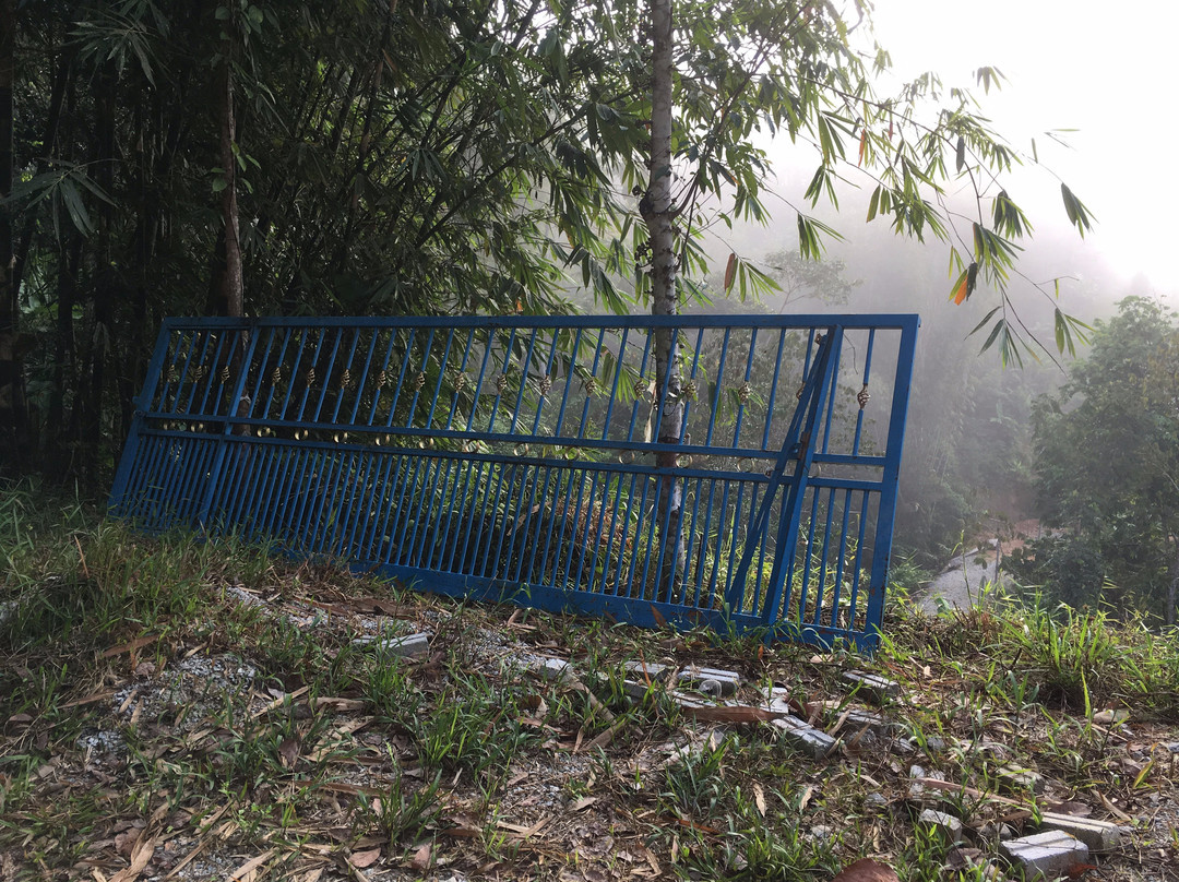 2025年2月Gunung Hitam景点攻略-Gunung Hitam门票预订|地址|图片-Gunung Hitam景点点评-猫途鹰