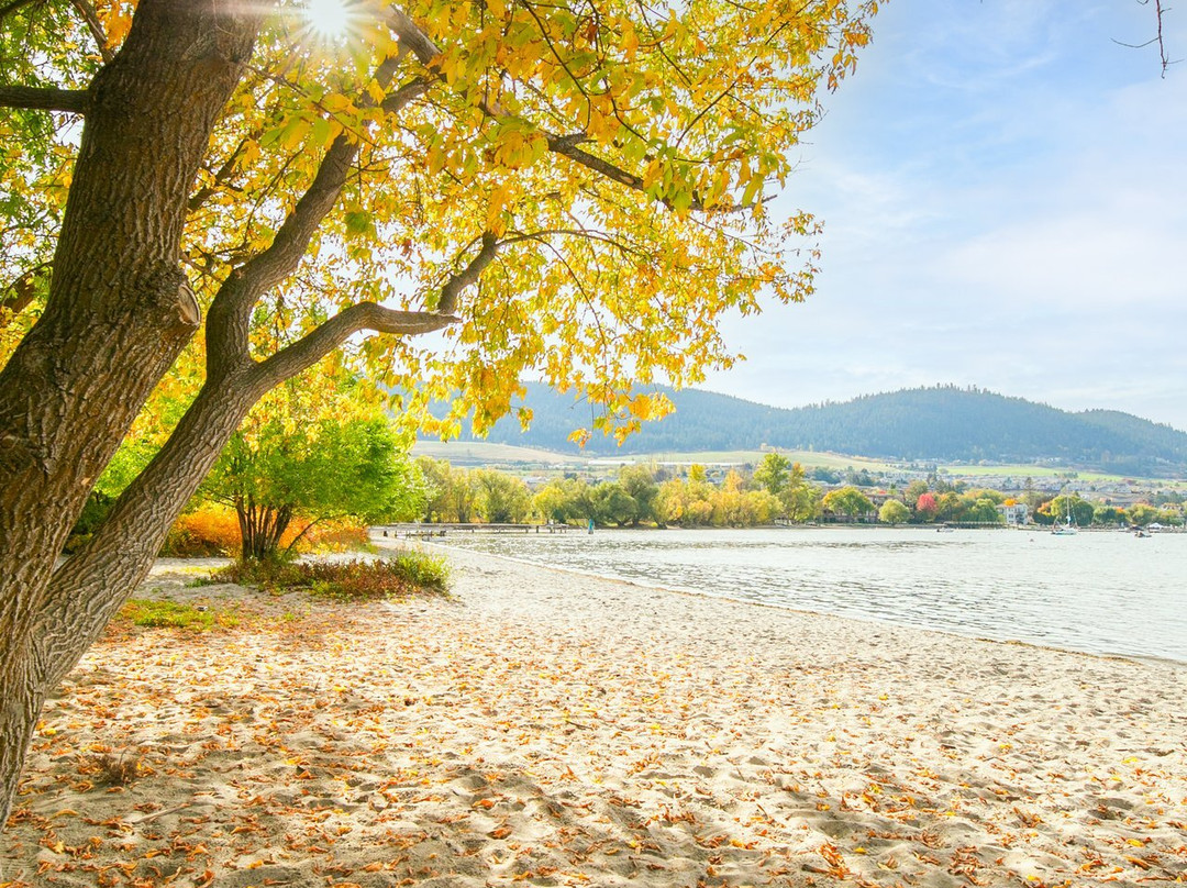 2025年6月Kin Beach景点攻略-Kin Beach门票预订|地址|图片-Kin Beach景点点评-猫途鹰