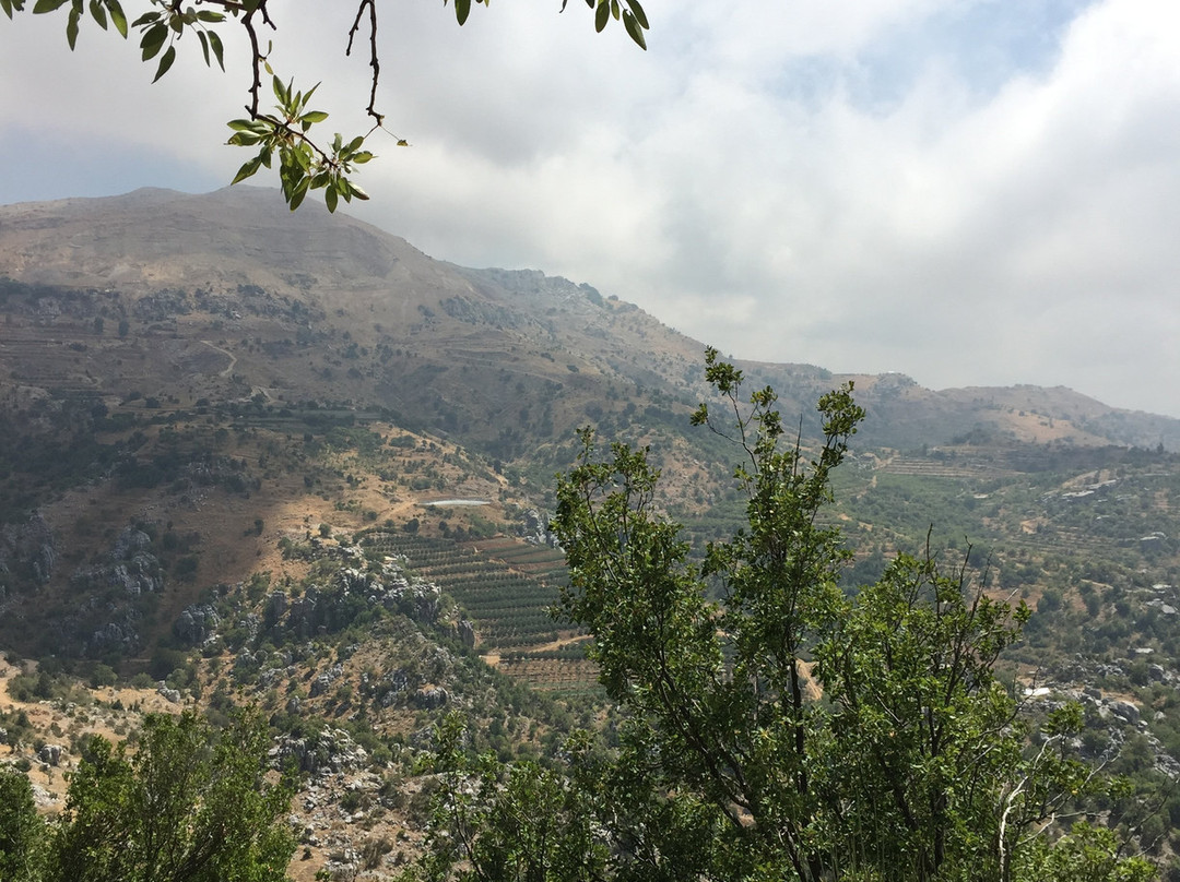 2023年9月Baskinta旅游景点攻略-Baskinta旅游住宿,-Baskinta旅游美食-猫途鹰