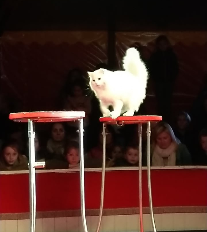 2023年11月Familiepark Harry Malter景点攻略-Familiepark Harry Malter门票预订|地址|图片 ...