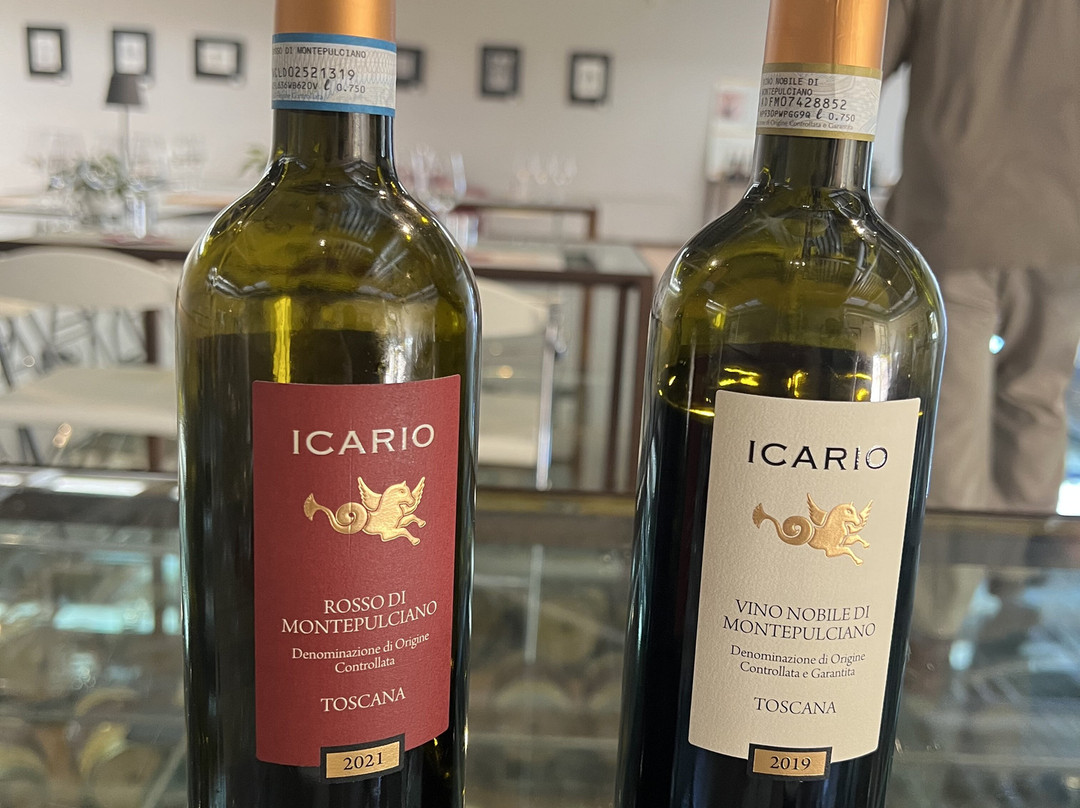 2025年1月Icario Winery景点攻略-Icario Winery门票预订|地址|图片-Icario Winery景点点评-猫途鹰