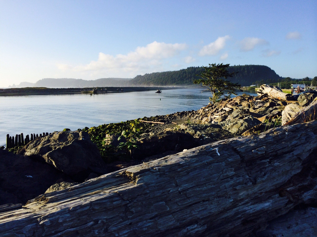 2023年12月La Push Beach景点攻略-La Push Beach门票预订|地址|图片-La Push Beach景点点评-猫途鹰