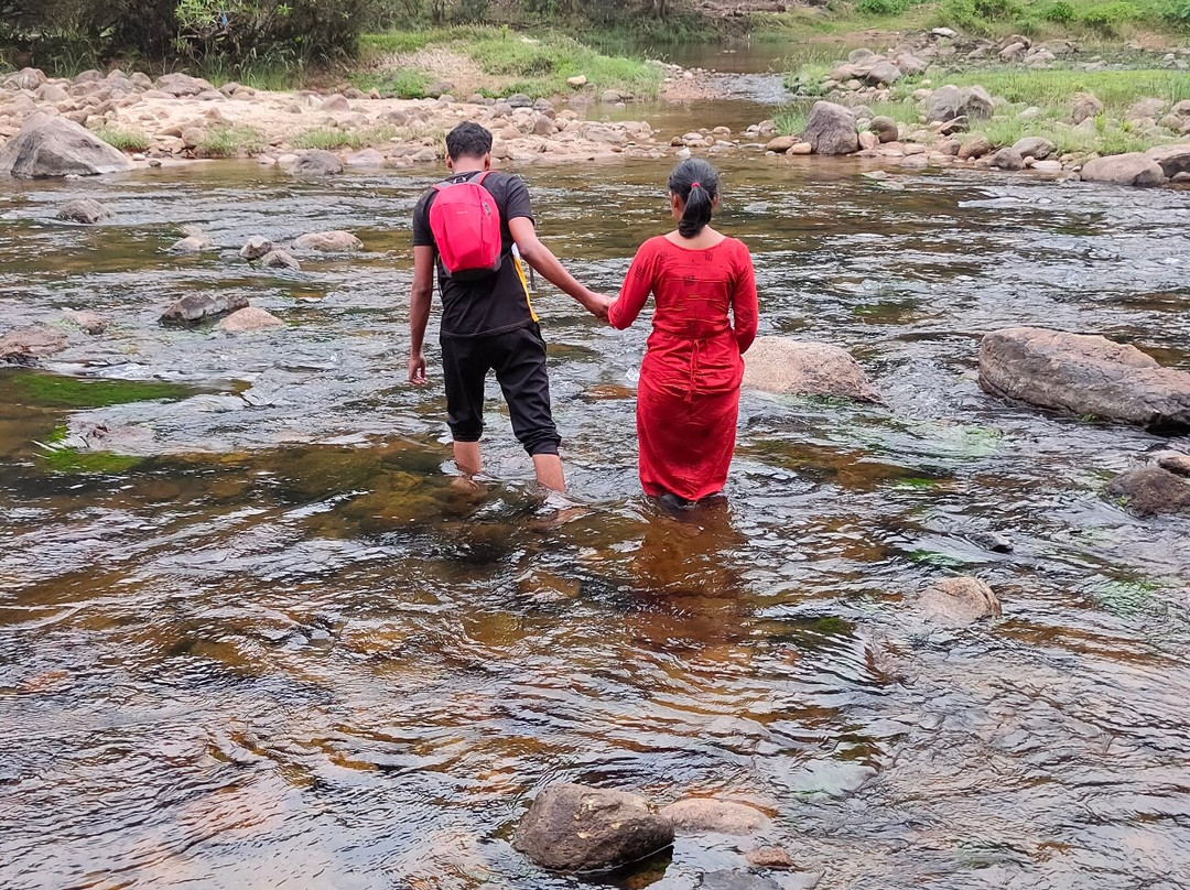 2025年3月Mankulam旅游景点攻略-Mankulam旅游住宿,-Mankulam旅游美食-猫途鹰