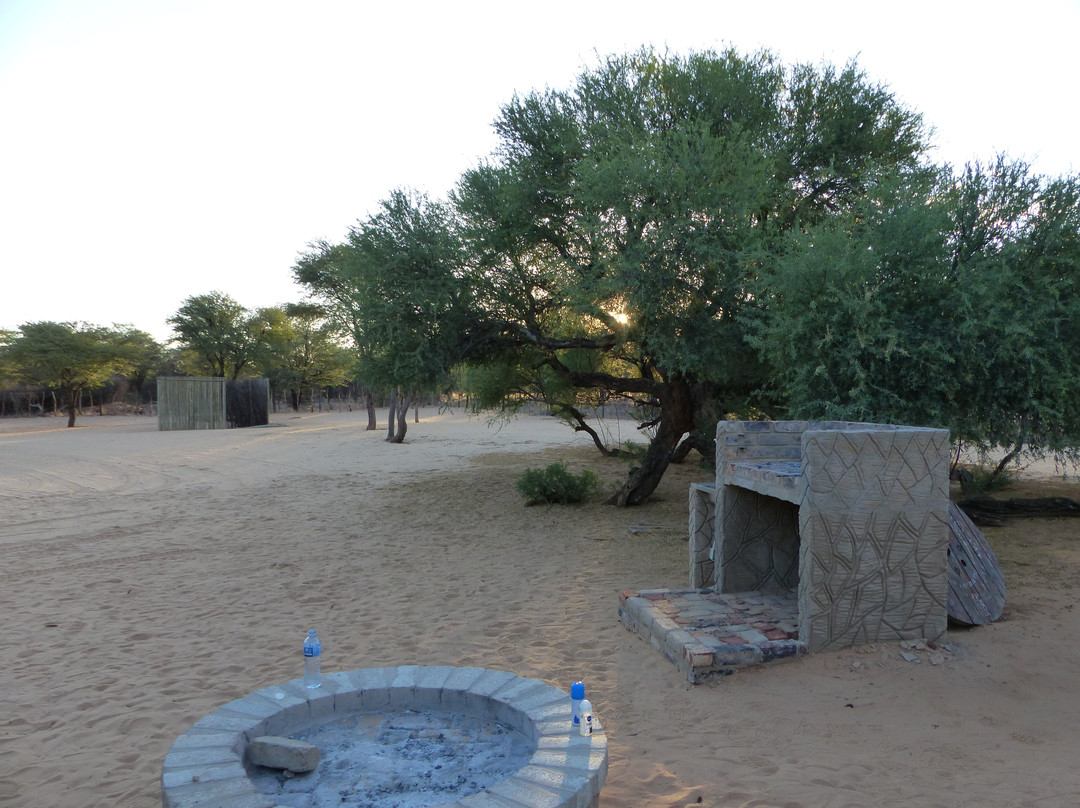 2025年4月Werda旅游景点攻略-Werda旅游住宿,-Werda旅游美食-猫途鹰