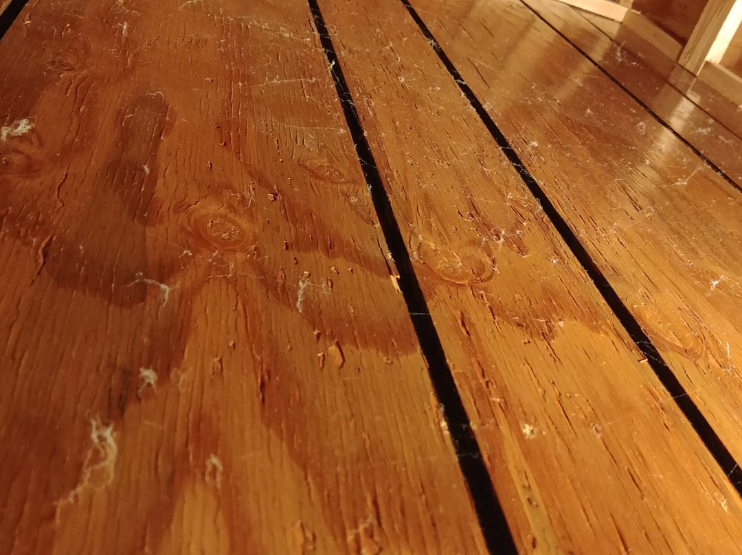 2024年9月Natural Bridge Station旅游景点攻略-Natural Bridge Station旅游住宿,-Natural ...