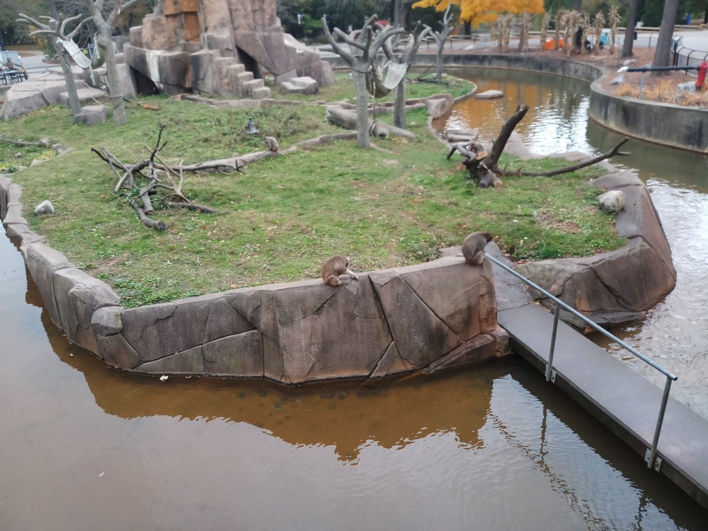 2023年11月Milwaukee County Zoo景点攻略-Milwaukee County Zoo门票预订|地址|图片 ...