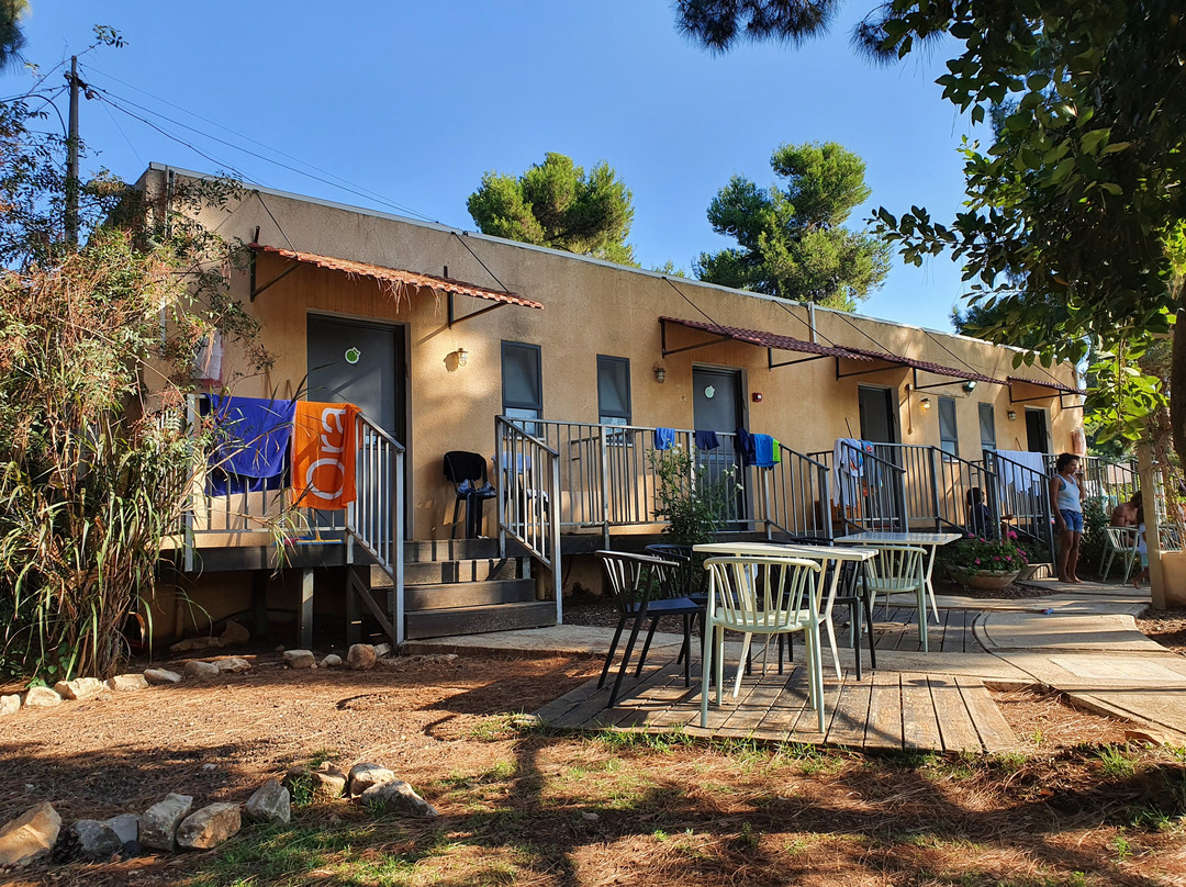 2025年5月Malkiya旅游景点攻略-Malkiya旅游住宿,-Malkiya旅游美食-猫途鹰