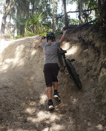 2024年1月Alafia River State Park景点攻略-Alafia River State Park门票预订|地址|图片 ...