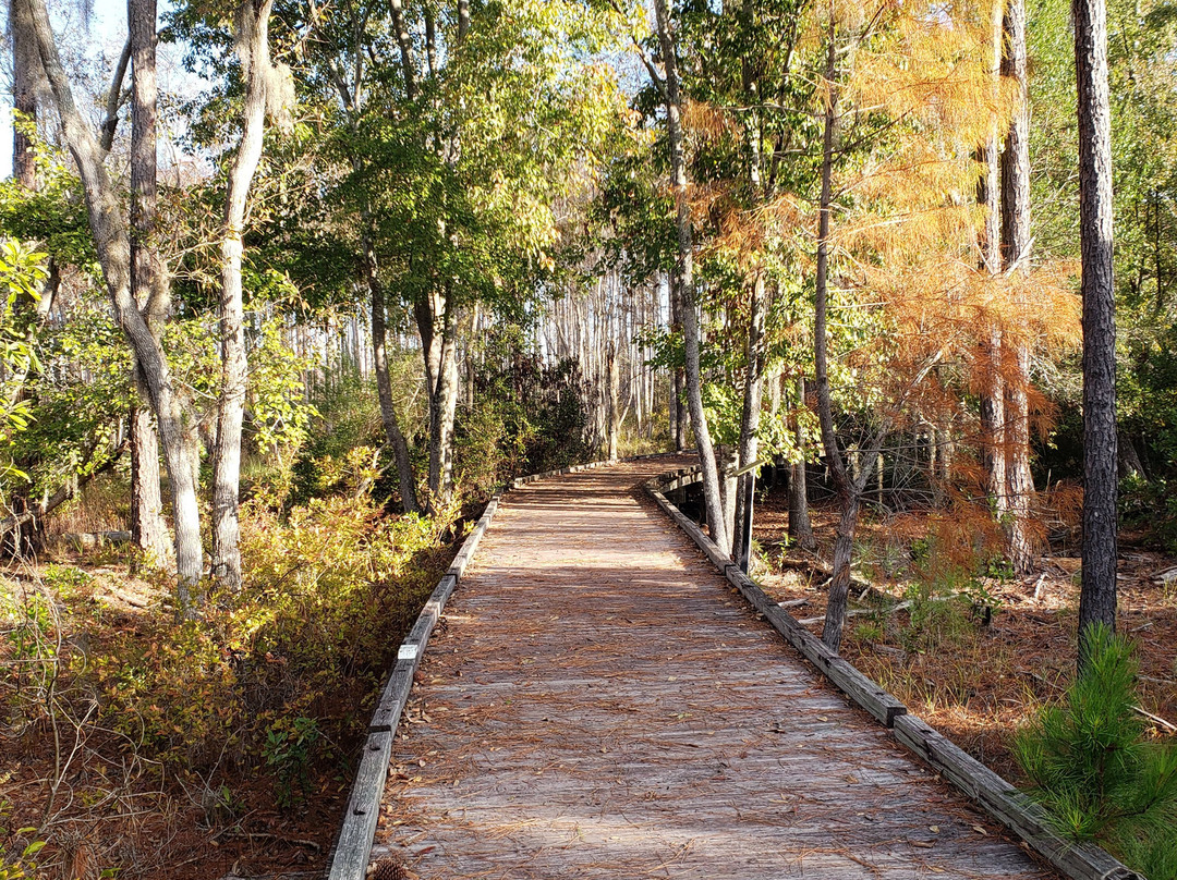 2024年1月Stephen C. Foster State Park景点攻略-Stephen C. Foster State Park门票 ...