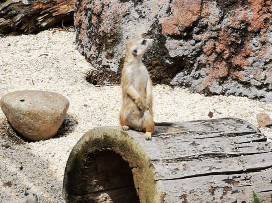 2023年12月Parque Regional Natural Ucumari景点攻略-Parque Regional Natural ...