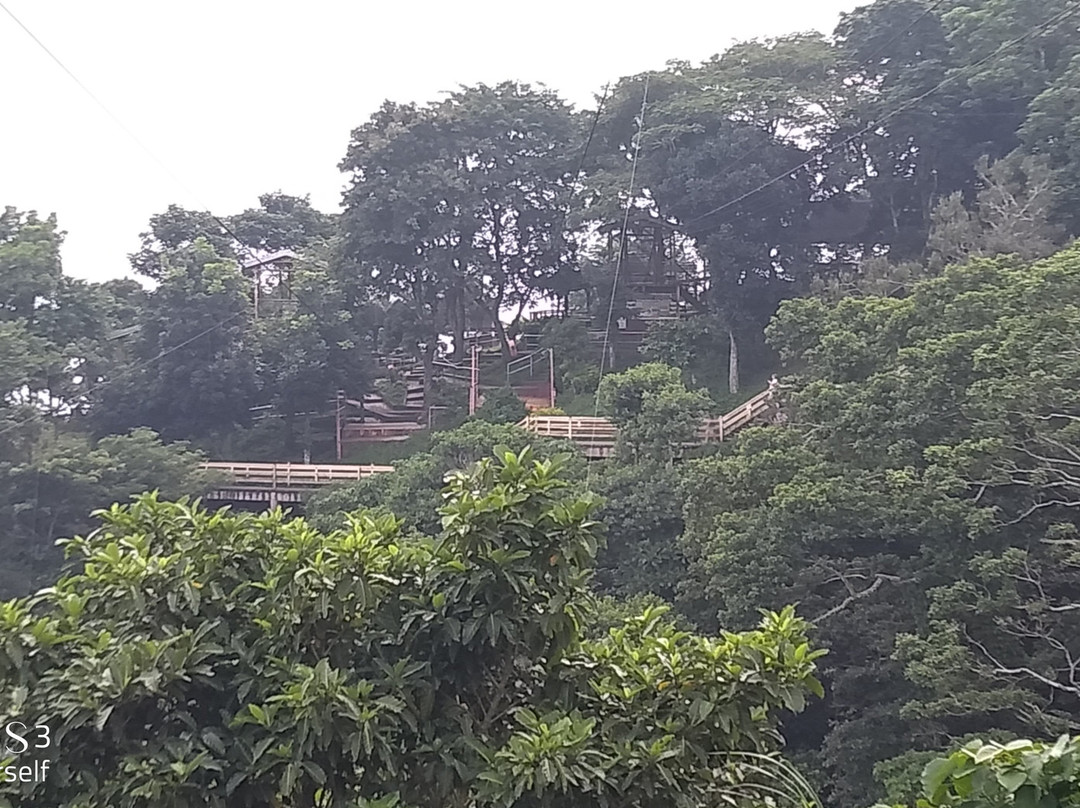 2023年12月Picnic Grove景点攻略-Picnic Grove门票预订|地址|图片-Picnic Grove景点点评-猫途鹰