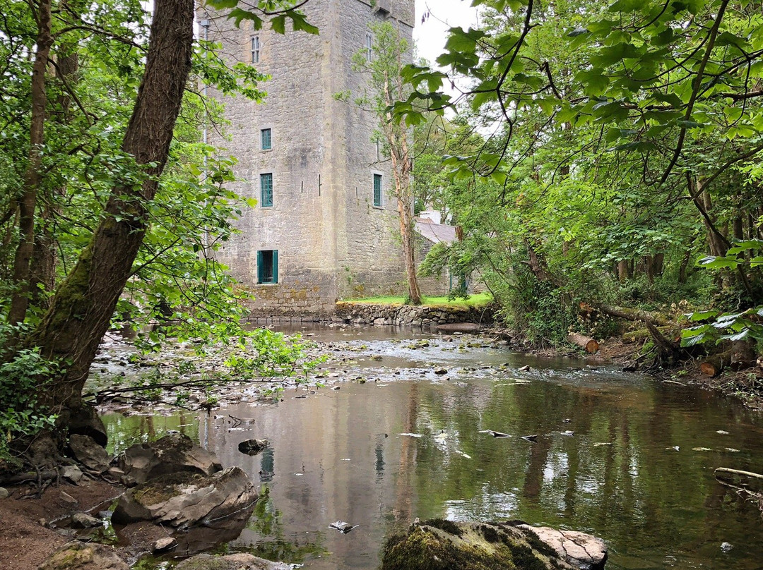 2024年1月Thoor Ballylee景点攻略-Thoor Ballylee门票预订|地址|图片-Thoor Ballylee景点点评-猫途鹰