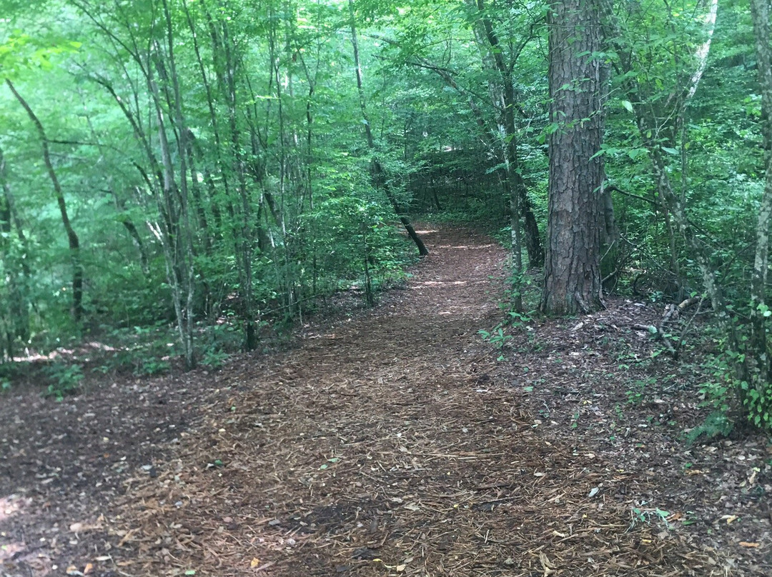 2024年5月Meeks Park景点攻略-Meeks Park门票预订|地址|图片-Meeks Park景点点评-猫途鹰