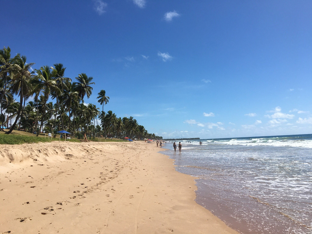 2023年11月Vilas do Atlantico Beach景点攻略-Vilas do Atlantico Beach门票预订|地址|图片 ...