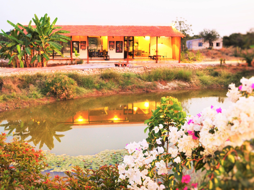 2023年10月Brahmapuri旅游景点攻略-Brahmapuri旅游住宿,-Brahmapuri旅游美食-猫途鹰