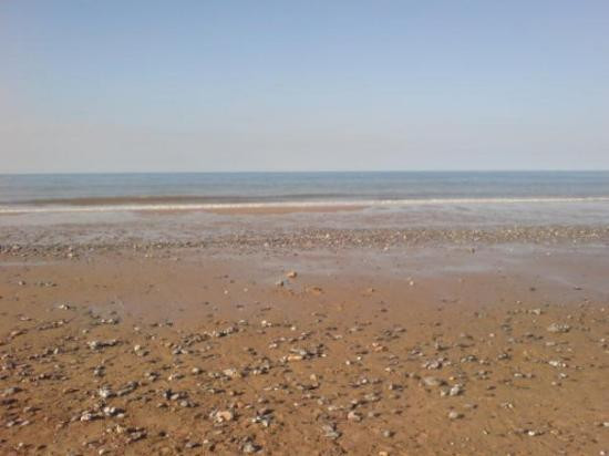 2025年4月Trimingham旅游景点攻略-Trimingham旅游住宿,-Trimingham旅游美食-猫途鹰