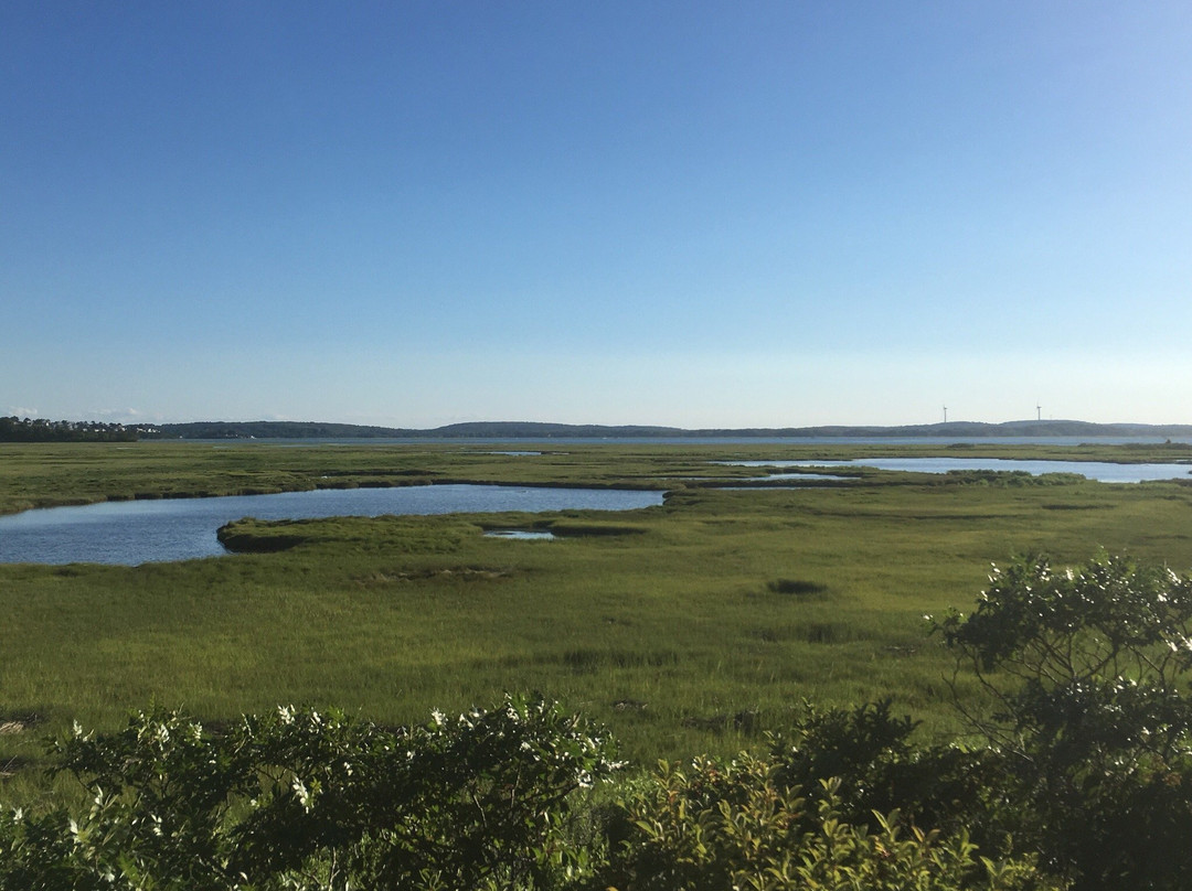 2023年12月Parker River National Wildlife Refuge景点攻略-Parker River National ...