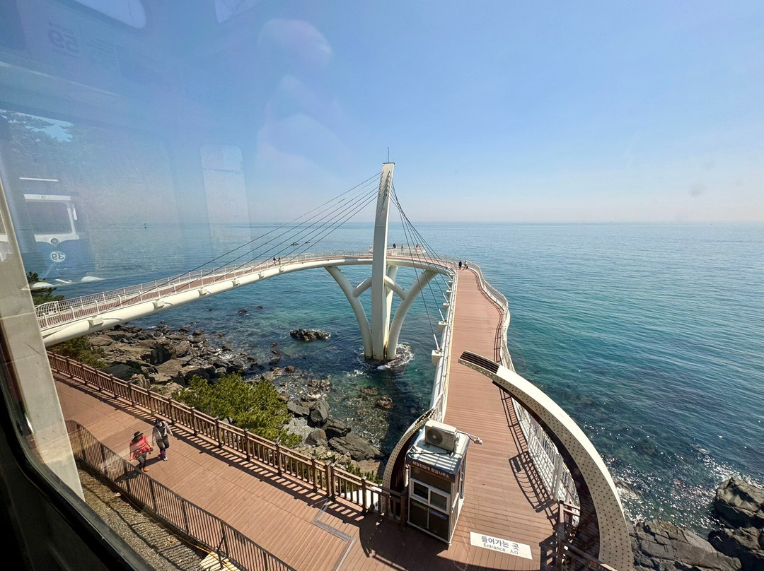 2025年9月Haeundae Blue Line Park景点攻略-Haeundae Blue Line Park门票预订|地址|图片 ...