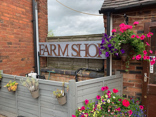 2024年10月Ansley旅游景点攻略-Ansley旅游住宿,-Ansley旅游美食-猫途鹰