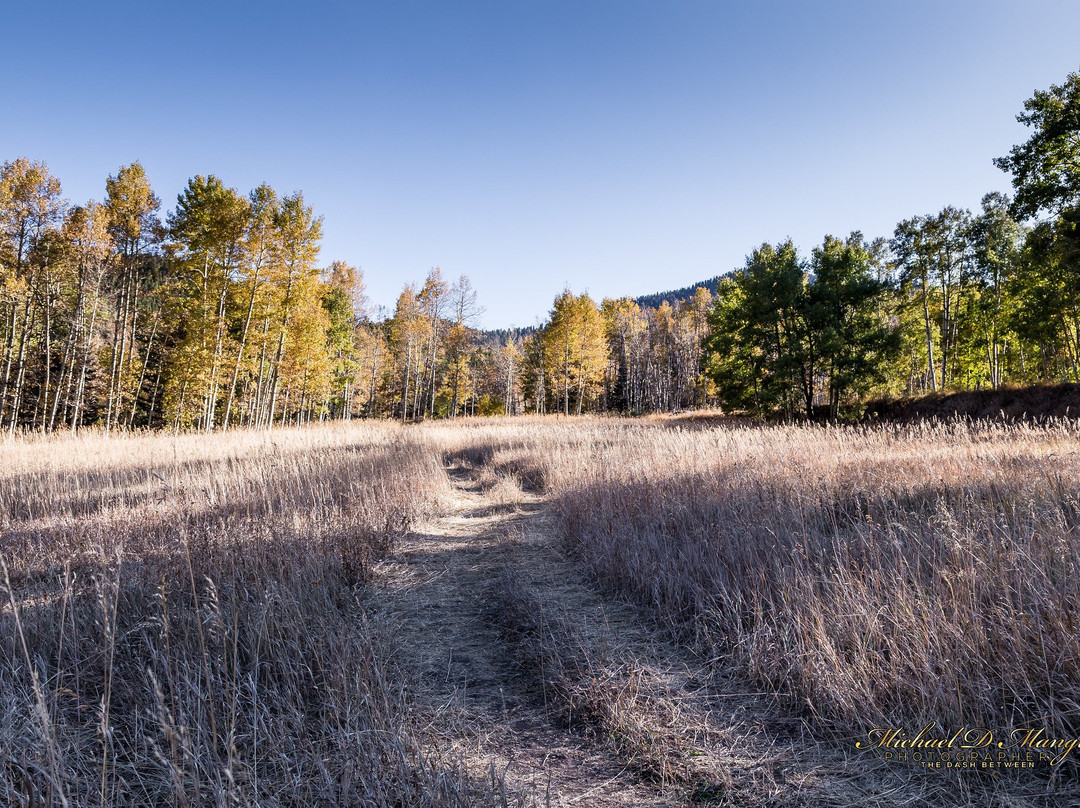2023年11月San Isabel National Forest景点攻略-San Isabel National Forest门票预订 ...