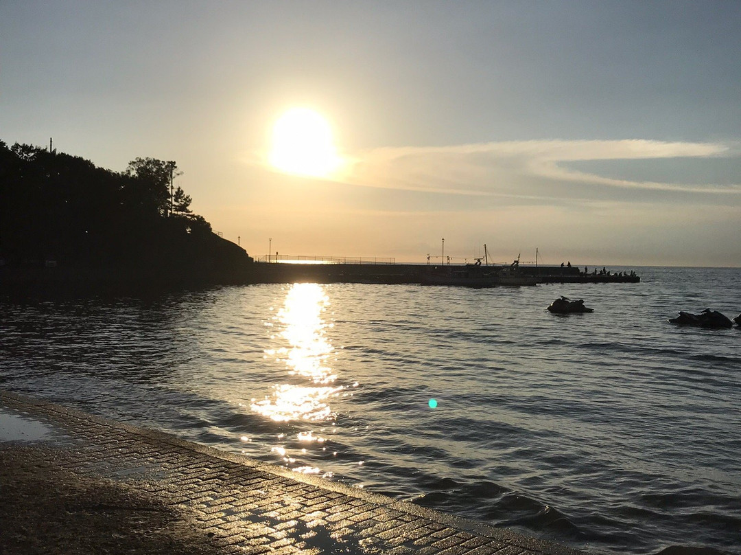 2023年11月Toi Beach景点攻略-Toi Beach门票预订|地址|图片-Toi Beach景点点评-猫途鹰