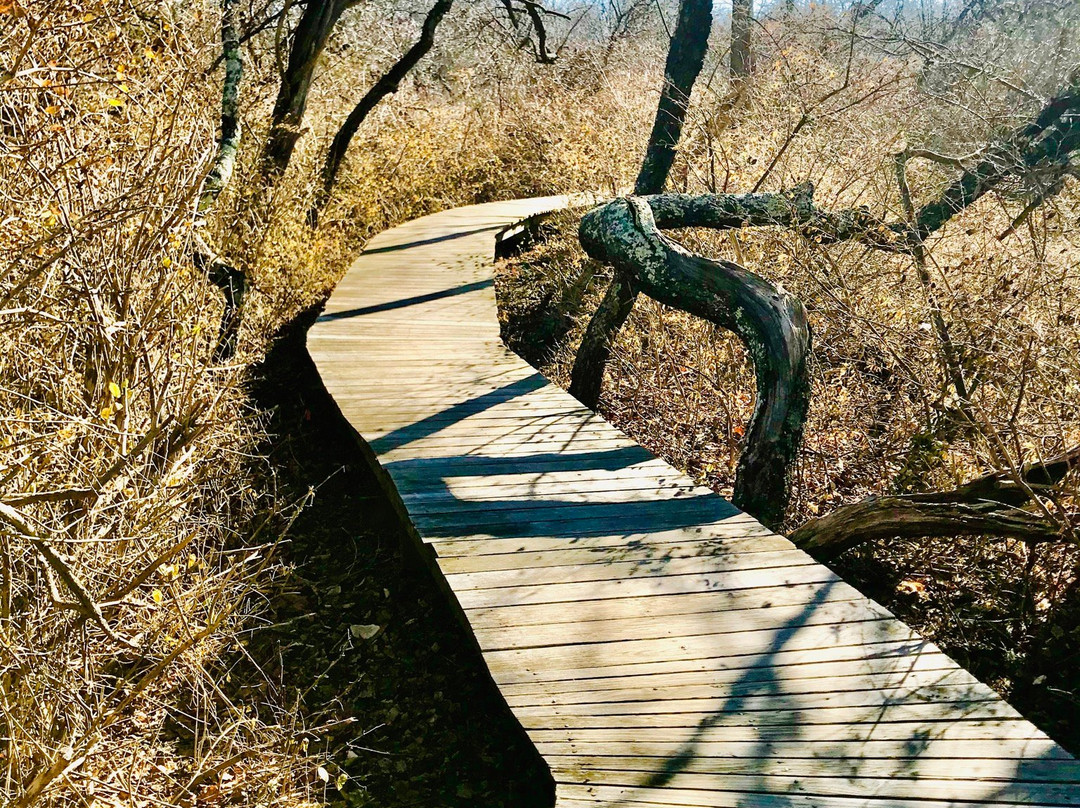 2023年12月Parker River National Wildlife Refuge景点攻略-Parker River National ...