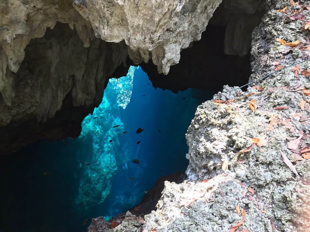 2024年2月Maratua Island景点攻略-Maratua Island门票预订|地址|图片-Maratua Island景点点评-猫途鹰